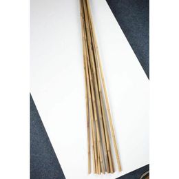 BURI - 20x Bambus Stangen 10er 150cm Kletterpflanzen Stütze Binder Hilfe Garten Sticks