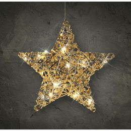 Spetebo - led Deko Stern Gold mit Timer - 30 cm - Weihnachtsstern zum Hängen warm weiß beleuchtet