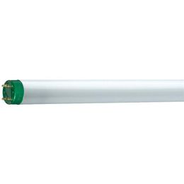 Leuchtstoffröhre master tl-d Eco - T8, 865 Tageslicht - 32W (1200mm) - Philips