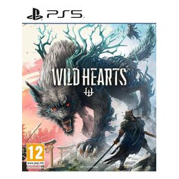 Wild HEArts - Sony PlayStation 5 - Action/Abenteuer - PEGI 12