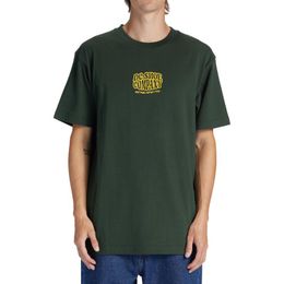 DC Shoes T-Shirt »Bulgy« Sycamore L L Stoff: Jersey-Stoff aus Baumwolle [200 g/m2]