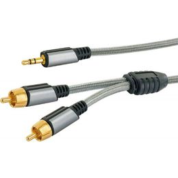 Schwaiger Ainstein 3,5 mm Klinke/Cinch Aux Adapterkabel 1,0m, Klinkenstecker 2x Cinch Stecker