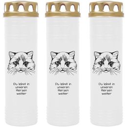 Hs Candle - Grabkerze Grablicht - 3er Pack mit Motiv ( Katze Kopf 1 ) - ca 100h / 4 Tage Brenndauer je Kerze ( 25cm, ø 7cm ) - viele versch. Deisgns