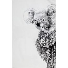 Maxwell & Williams Maxwell & Williams Marini Ferlazzo Küchentuch de Design de Koala im Baum de 100% Baumwolle, 50 x 70 cm - White