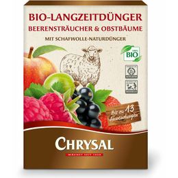 Chrysal Bio-Langzeitdünger Beerensträucher und Obstbäume - 200 g