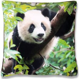Bestlivings Dekokissen Fotodruck Motiv in 40x40 cm, Flauschig weiches Kissen in vielen Motiven erhältlich ( Design: Panda ) - Panda