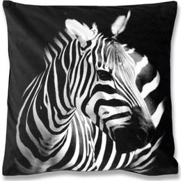 Bestlivings Dekokissen Fotodruck Motiv in 40x40 cm, Flauschig weiches Kissen in vielen Motiven erhältlich ( Design: Zebra ) - Zebra