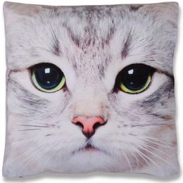 Bestlivings Dekokissen Fotodruck Motiv in 40x40 cm, Flauschig weiches Kissen in vielen Motiven erhältlich ( Design: Katze ) - Katze