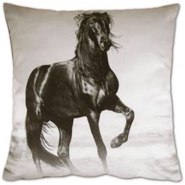 Bestlivings Dekokissen Fotodruck Motiv in 40x40 cm, Flauschig weiches Kissen in vielen Motiven erhältlich ( Design: Pferd ) - Pferd
