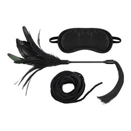 Sportsheets Sex & Mischief - Shadow Tie and Tickle Kit, 4 Teile