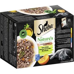 Sheba Nature's Collection in Sauce Feine Vielfalt 12x85 g