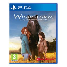 Mindscape Windstorm: An Unexpected Arrival - Sony PlayStation 4 - Abenteuer - PEGI 3