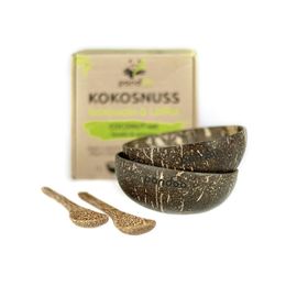 pandoo Schüssel, Kokosnuss Holz