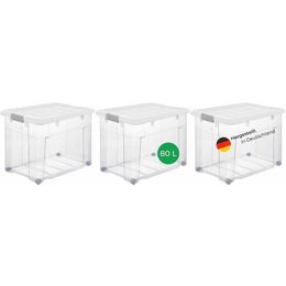 Novaliv - 3x Aufbewahrungsbox 3x Aufbewahrungsbox, 3x Deckel, 12x Rollen - Transparent