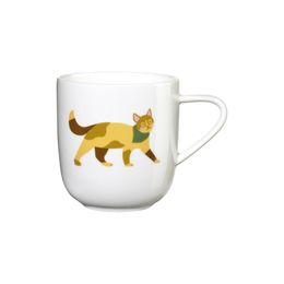 Asa henkelbecher, kater kasimir