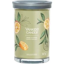 yankee candle Raumdüfte Tumbler Sage & Citrus