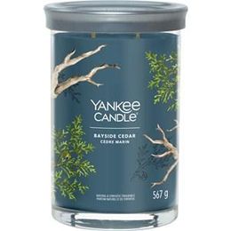 yankee candle Raumdüfte Tumbler Bayside Cedar