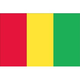 flaggenmeer Flagge Guinea 160 g/m² Querformat