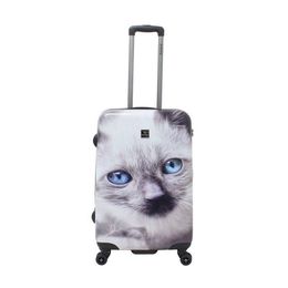 Saxoline® Koffer White Cat, mit praktischen Tragegriffen, weiß
