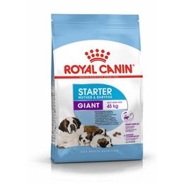 Royal Canin Giant Starter Mother & Babydog 15kg