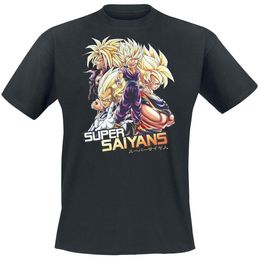 Dragon Ball Z - Super Saiyans T-Shirt schwarz in L