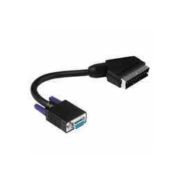 Hama Adapter VGA-Kupplung 15-pol auf Scart-Stecker Video-Adapter VGA