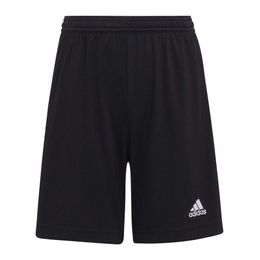 adidas Performance Sporthose Entrada 22 Short Kids