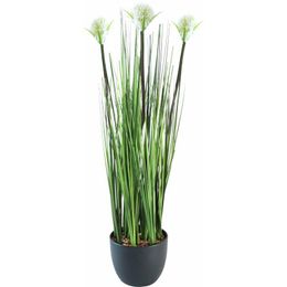 Design Decoration - Deko Pflanze Kunstpflanze Zierlauch mit Übertopf 75 cm Höhe - Grün