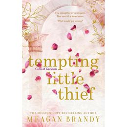 Tempting Little Thief - Meagan Brandy, Taschenbuch