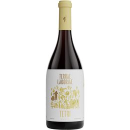 Terrae Laboriae 2022 Tetri Campania Falanghina IGP trocken