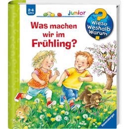 RAVENSBURGER VERLAG Was machen wir im Frühling? / Wieso? Weshalb? Warum? Junior Bd.59 - Andrea Erne, Kartoniert (TB)