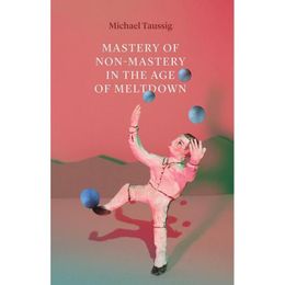 Mastery of Non-Mastery in the Age of Meltdown - Michael Taussig, Kartoniert (TB)