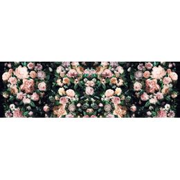 Komar Vliestapete "Victoria Black Panel" Tapeten (Breite x Höhe), Vliestapete, 100 cm Bahnbreite Gr. B/L: 8 m x 2,5 m, bunt (altrosa, dunkelgrün, schwarz) Blumentapeten
