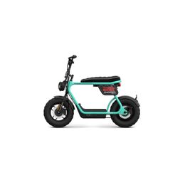 Star-Biker E-Motorroller Elektroroller Coopop
