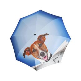 Doppler® Taschenregenschirm Modern Art Magic Mini Daily Dog Regenschirm Schirm Automatik 74615717