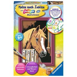 RAVENSBURGER VERLAG Malen nach Zahlen: Serie F - Pferd im Stall