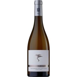 Weingut Siegrist Siegrist 2021 Pinot Gris Wollmesheimer Mütterle VDP.Erste Lage trocken