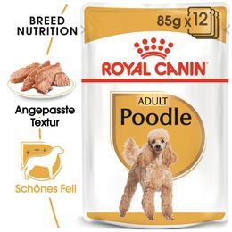 Royal Canin Poodle Adult in Soße 12x85 g