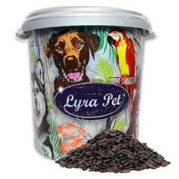 10 kg LYRA PET® Sonnenblumenkerne schwarz in 30 L Tonne