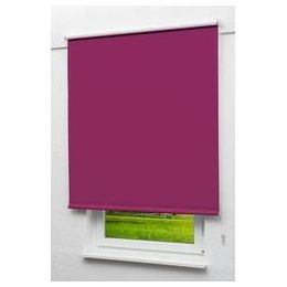 Lysel Outlet - Verdunkelungsrollo Dunkelmagenta, (B x H) 182.50cm x 190cm in violett/dunkelmagenta