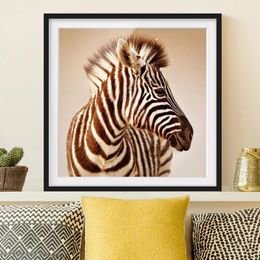 MICASIA - Bild mit Rahmen - Zebra Baby Portrait Größe HxB: 20cm x 20cm, Rahmen: Schwarz