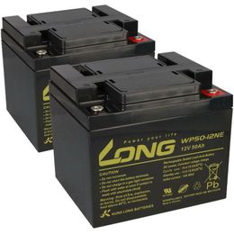 Ersatzakku für Lecson HS-539, 588, 730, 740 und 898 2x Kung Long 12V 50Ah Blei Akku Zyklenfest agm vrla