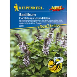 Kiepenkerl - Basilikum Floral Spires Lavendelblau - Kräutersamen