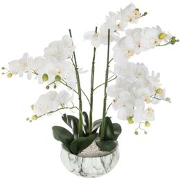 Atmosphera - Künstliche Orchidee - marmorierter Topf H65 cm Weiß