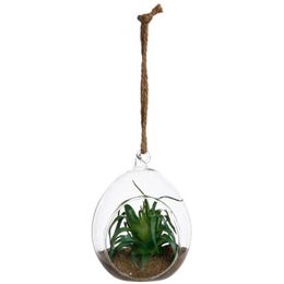 Atmosphera Künstliche Pflanze in Kugel Topf Glas H9 -5cm - Großes blatt - Model 2