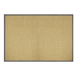 Karat Sisal-Teppich Amazonas Natur Bordüre: Graphit