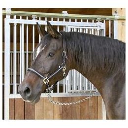 Kerbl Pferde-Halfter Mustang Gr.1 schwarz silber