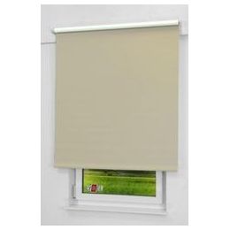 Lysel - Qualitätsrollo abdunkelnd graubeige, (B x H) 103cm x 190cm in braun/graubeige