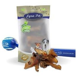 100 Stk. LYRA PET® Rinderohren ca. 3 kg + Ballschleuder