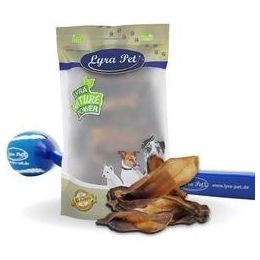 100 Stk. LYRA PET® Rinderohren ca. 5 kg + Ballschleuder